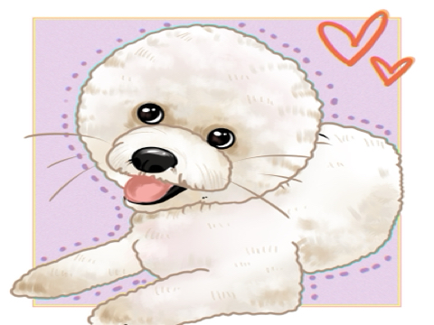 宠物系列（1）白色泰迪_焦炭Casey-站酷ZCOOL