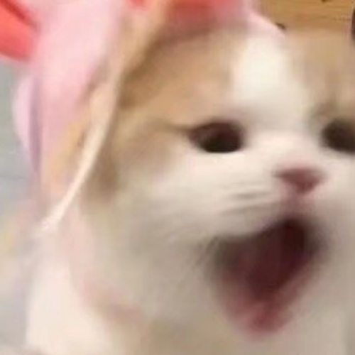 BVBG创作者主页_安庆学生-站酷ZCOOL