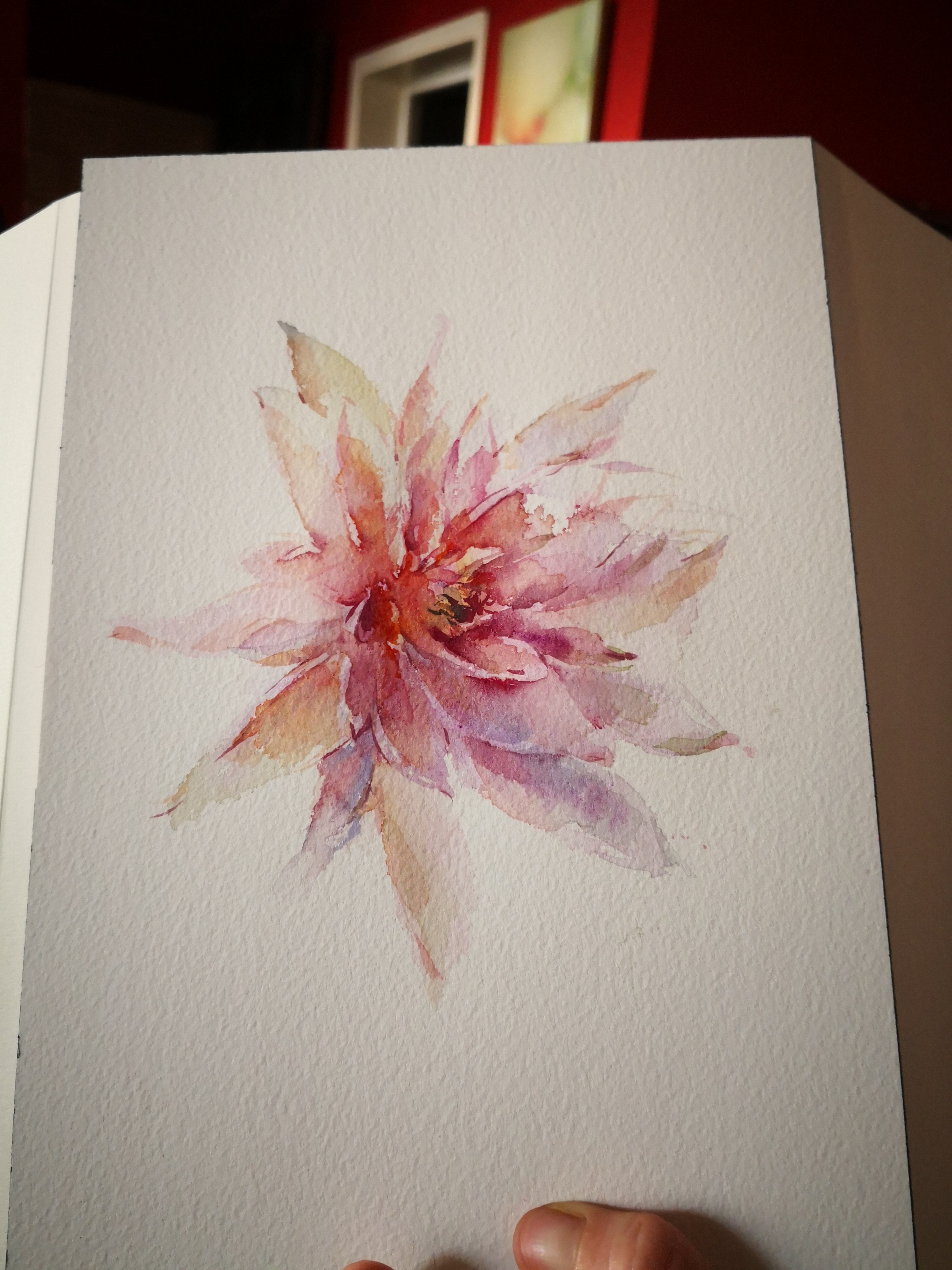 粉莲开了_Dumama-站酷ZCOOL