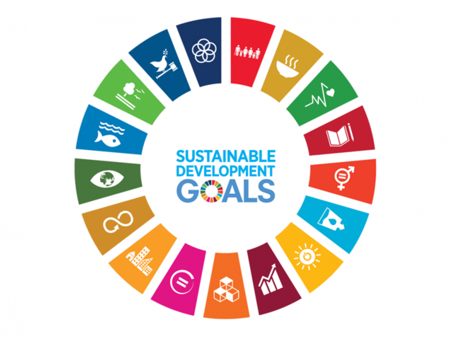 SDGs(联合国倡导可持续发展目标)_TexLee-站酷ZCOOL