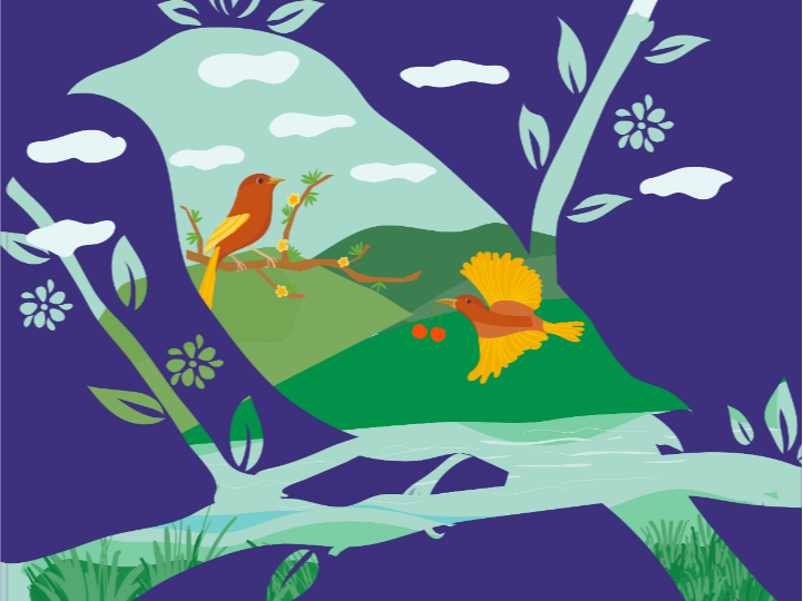 等鸟归_本奇-站酷ZCOOL