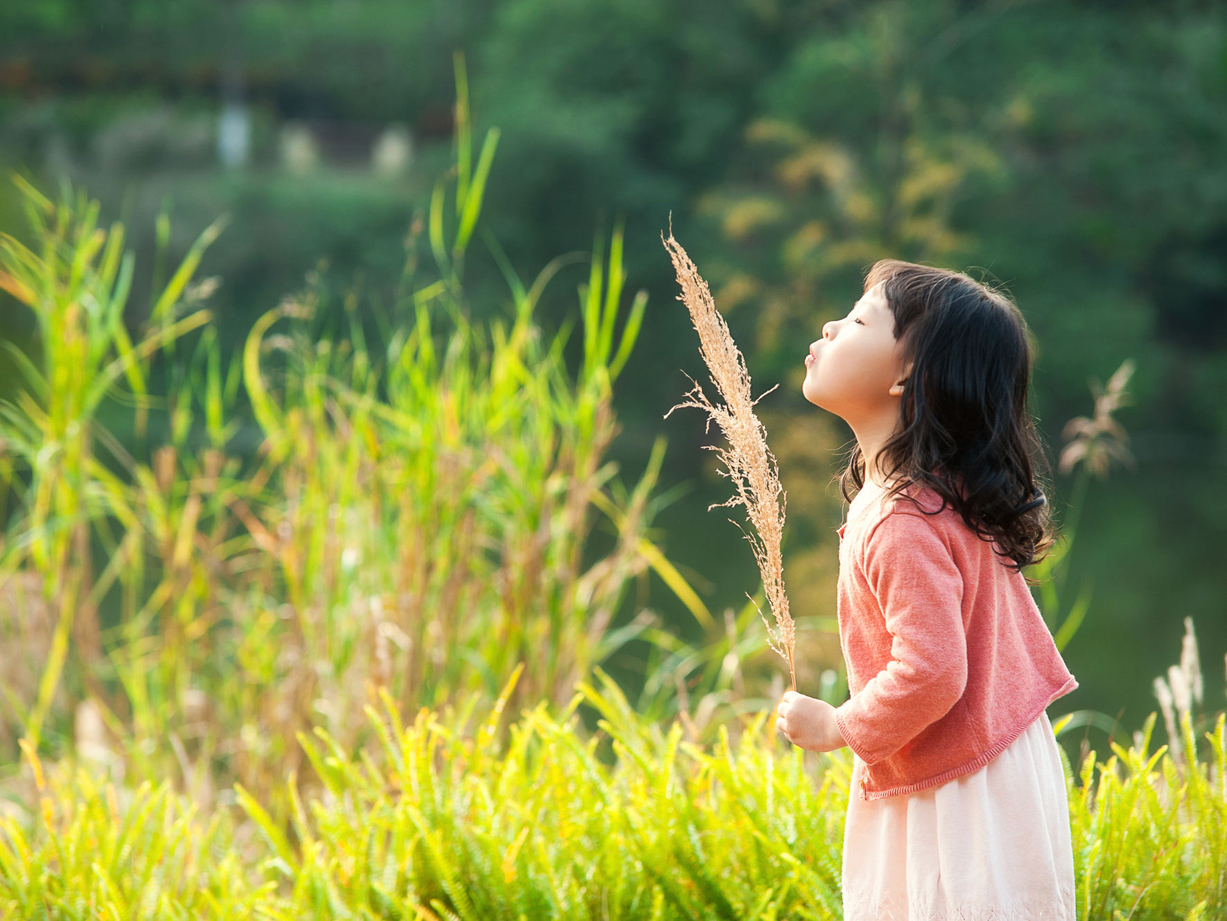 暄暄，与日为伴的名字_摄影师POON-站酷ZCOOL