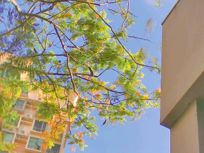 你看|这世间，妙不可言。_Z68421487-站酷ZCOOL