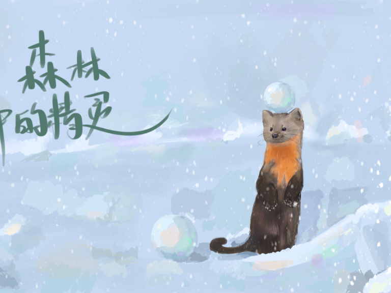 森林中的精灵-紫貂_Z398838467-站酷ZCOOL