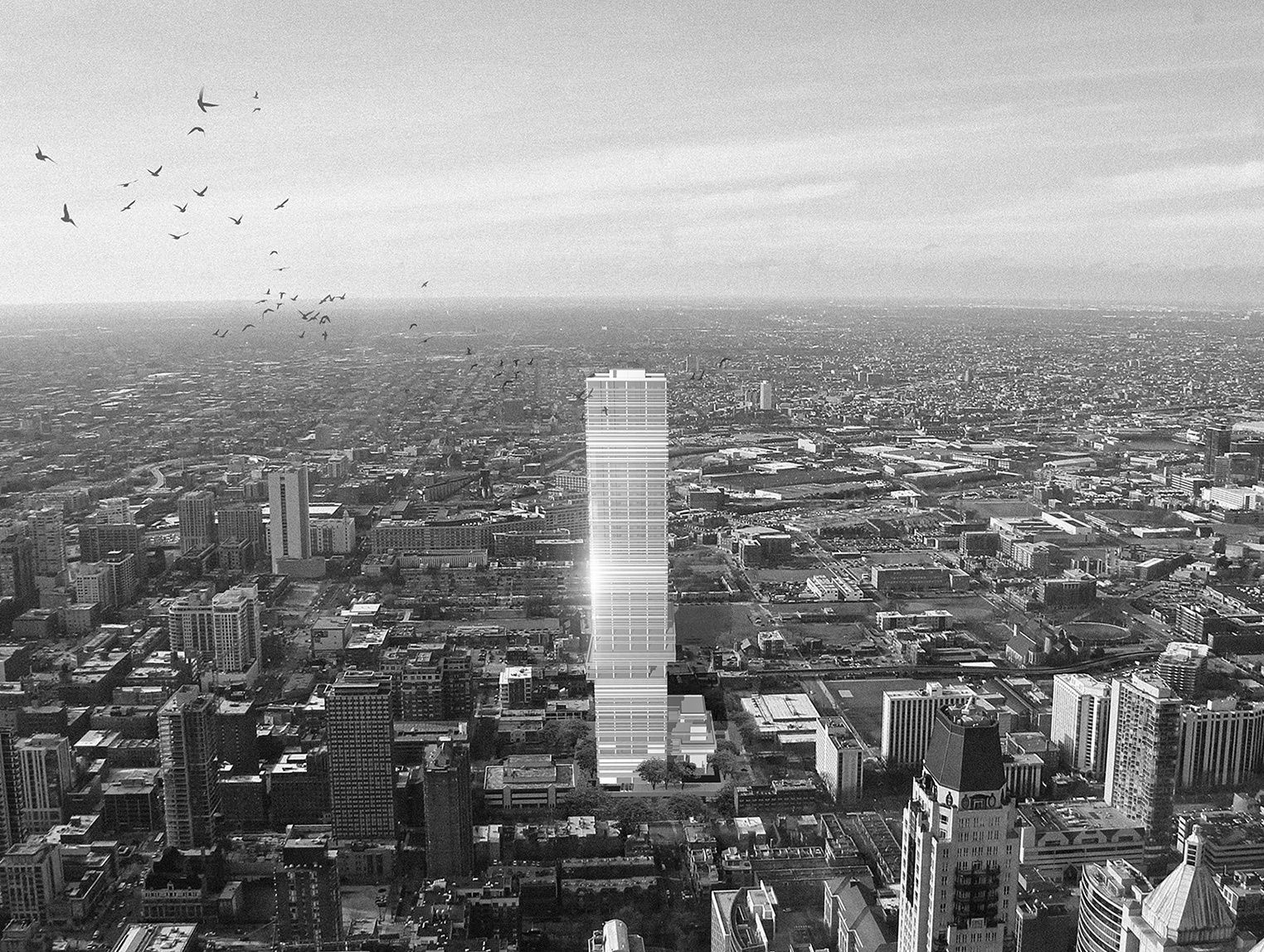 裂缝CRACK_zark95-站酷ZCOOL