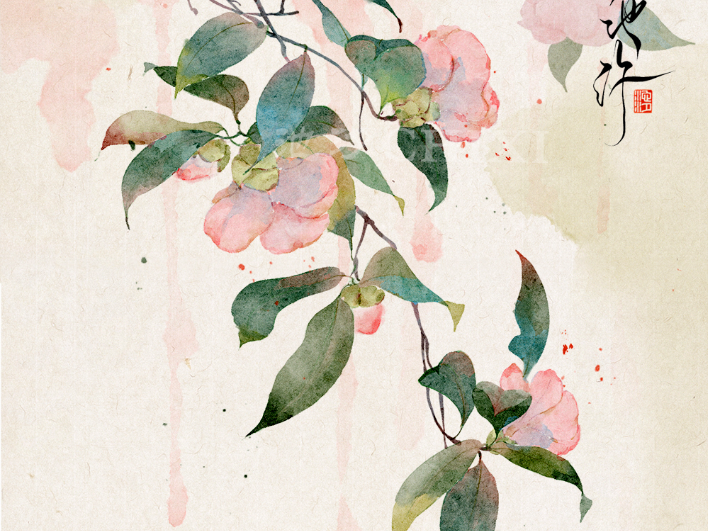 山茶-ipad画画_池汐CX-站酷ZCOOL