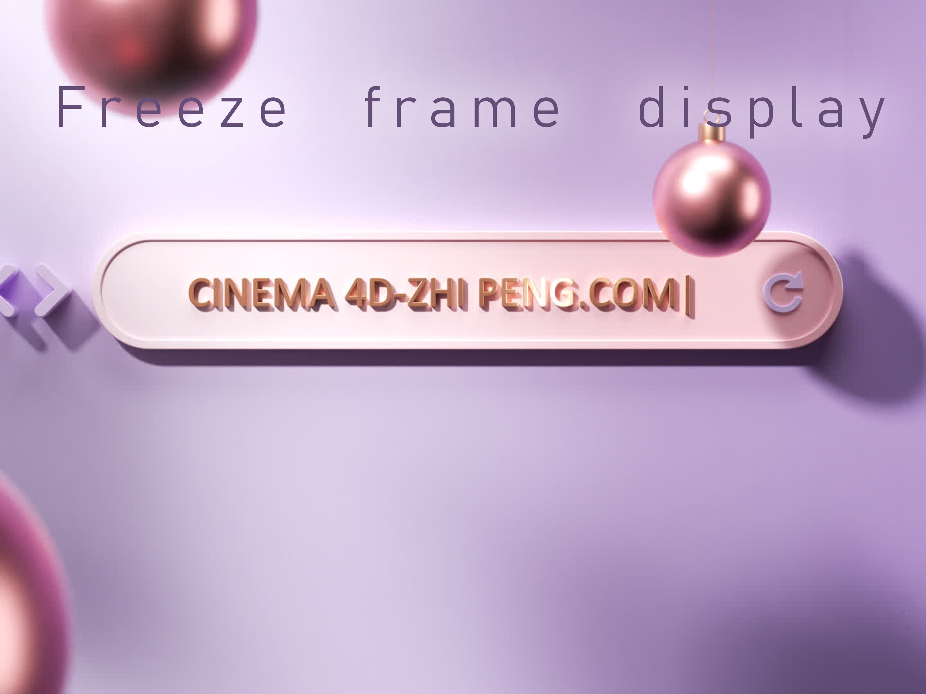 Dicks Sporting Goods-Holiday Spot 电商动态设计_三奇四奇-站酷ZCOOL