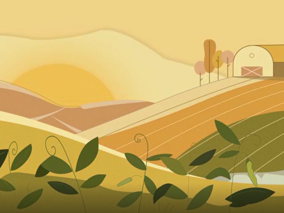 Ae动画_活化石海绵宝宝-站酷ZCOOL