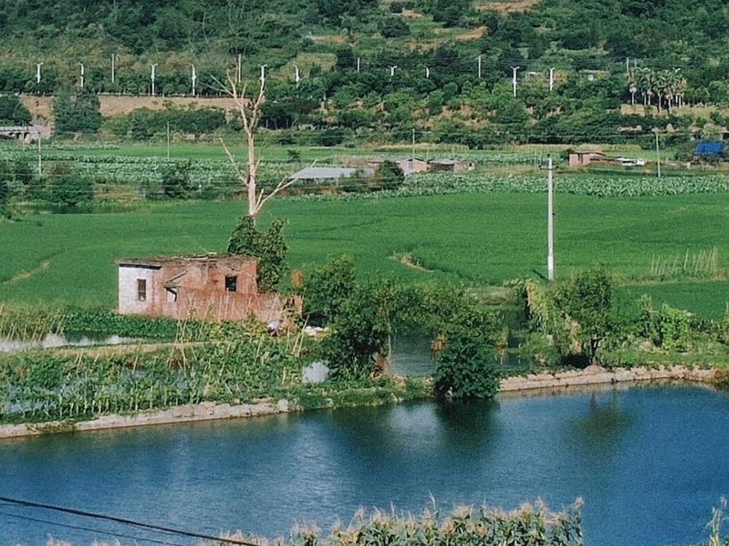 夏天_阿33Asan-站酷ZCOOL