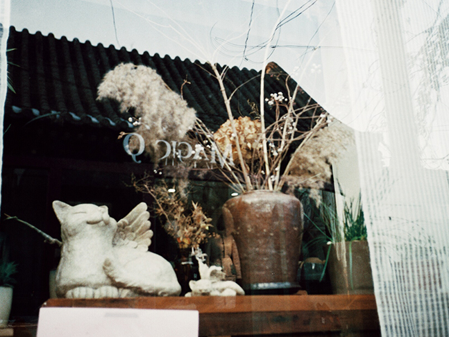 漫步北京胡同_Miss_Mo-站酷ZCOOL