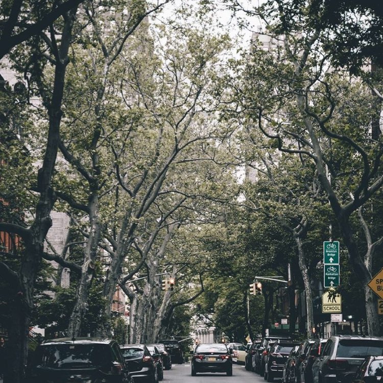 Candy喜糖个人主页_临沂设计爱好者-站酷ZCOOL