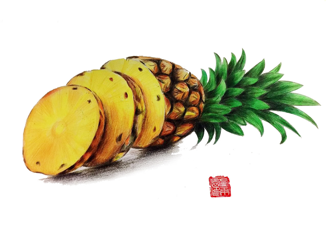 手绘水果菠萝_富贵0818-站酷ZCOOL