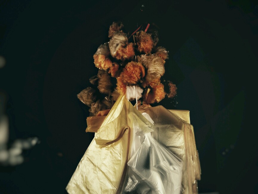 日子_途途-站酷ZCOOL