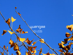 随拍_yuangaa-站酷ZCOOL