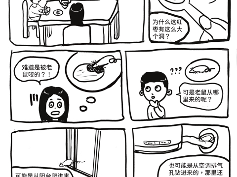 哥哥破案——一颗红枣引发的联想_kusso-站酷ZCOOL