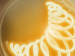 作品小记（一）_我叫zhy-站酷ZCOOL