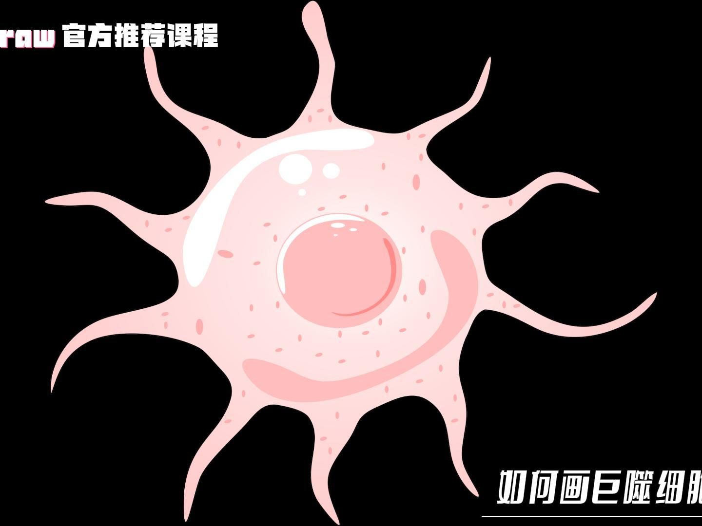 Sci科研制图教程 | 如何用cdr画巨噬细胞_科学颜习社-站酷ZCOOL