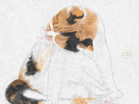 吃jiojio_0Lin0-站酷ZCOOL