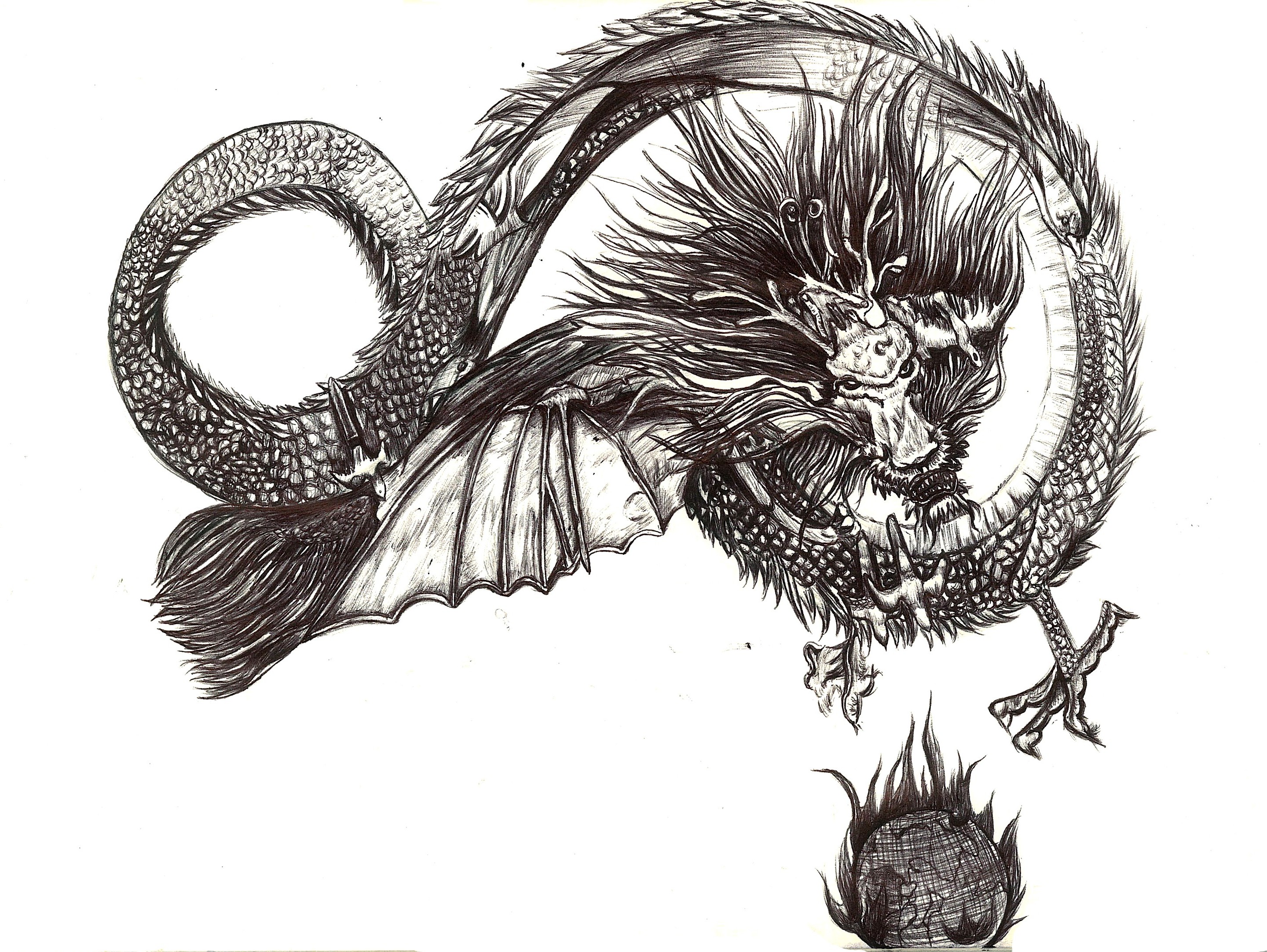 舞龙_singingagain-站酷ZCOOL