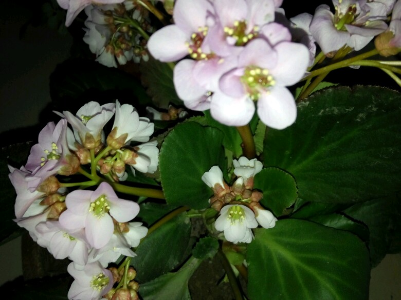 静物_呼啸街车-站酷ZCOOL