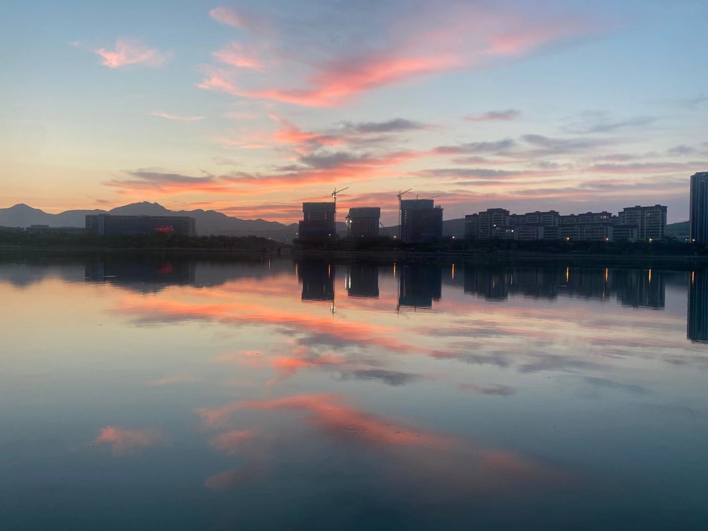 倒影_猫囚-站酷ZCOOL