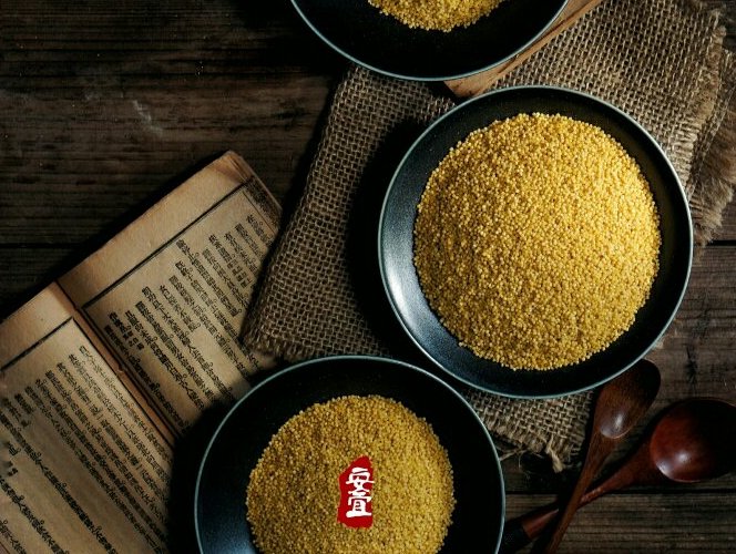 食补之神～小米_Tony_lv-站酷ZCOOL