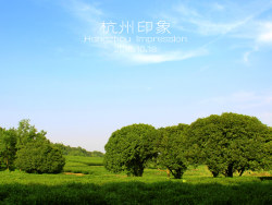 杭州印象_yuangaa-站酷ZCOOL