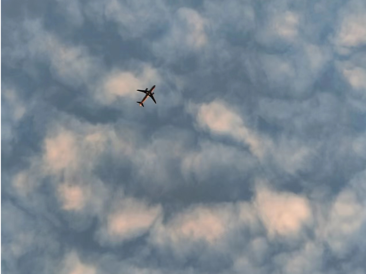 遨游云海_Z725165383-站酷ZCOOL