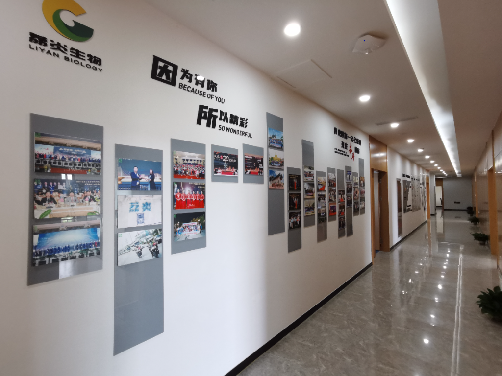 企业文化墙_林森TOP-站酷ZCOOL