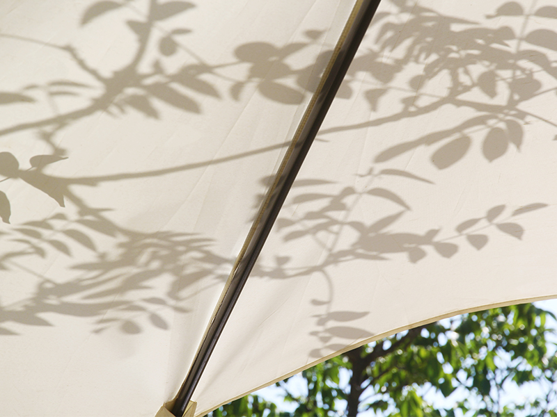 露营随拍_绿洲沙漠-站酷ZCOOL