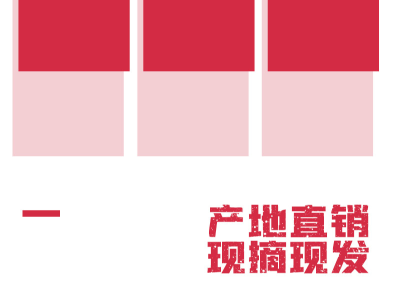 石榴_bibobu泡泡糖-站酷ZCOOL