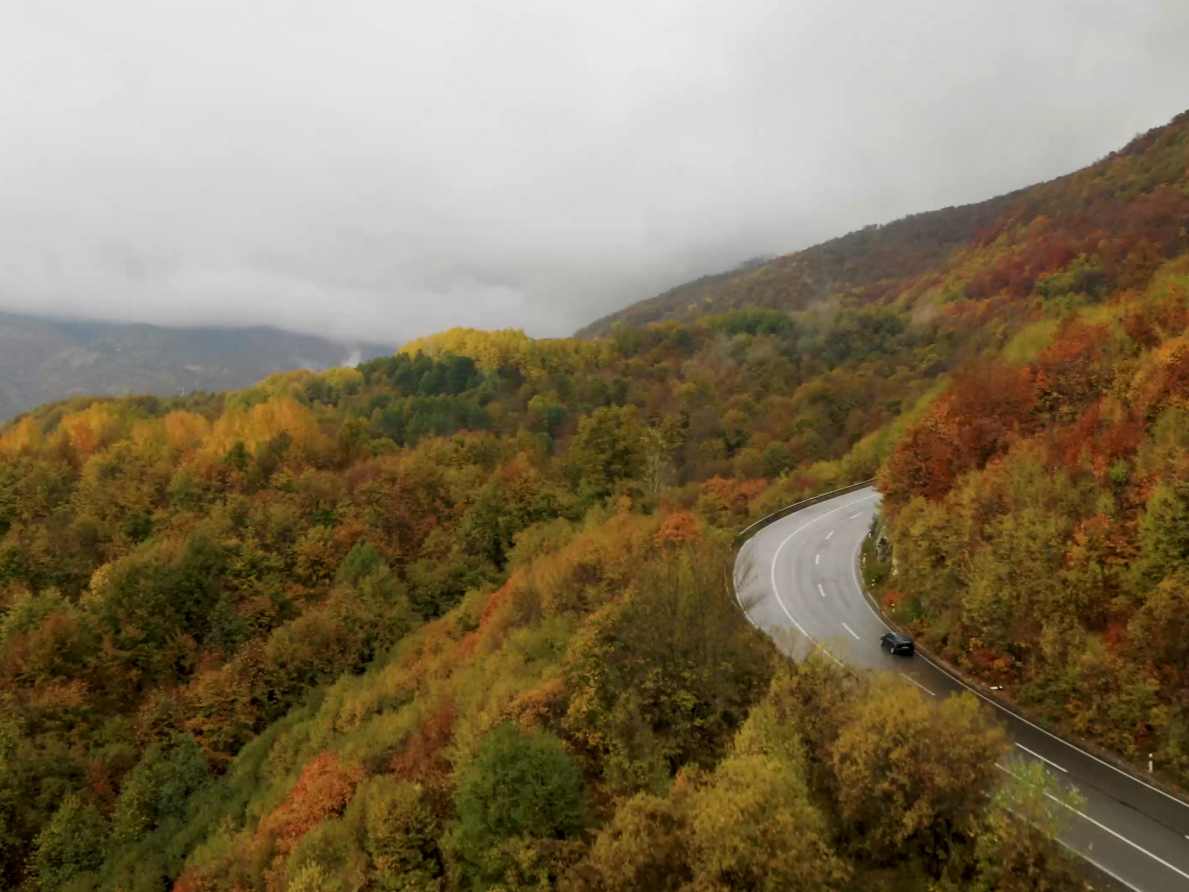 亚马逊-沙滩车合集_Panda雷叔-站酷ZCOOL