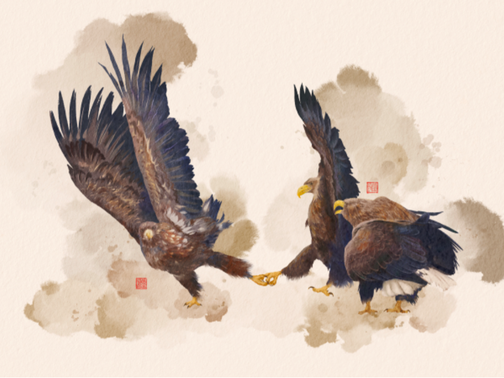 【ipad绘画】翱翔天际的老鹰🦅_zane水彩-站酷ZCOOL