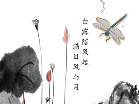 白露_薇薇VVVV-站酷ZCOOL