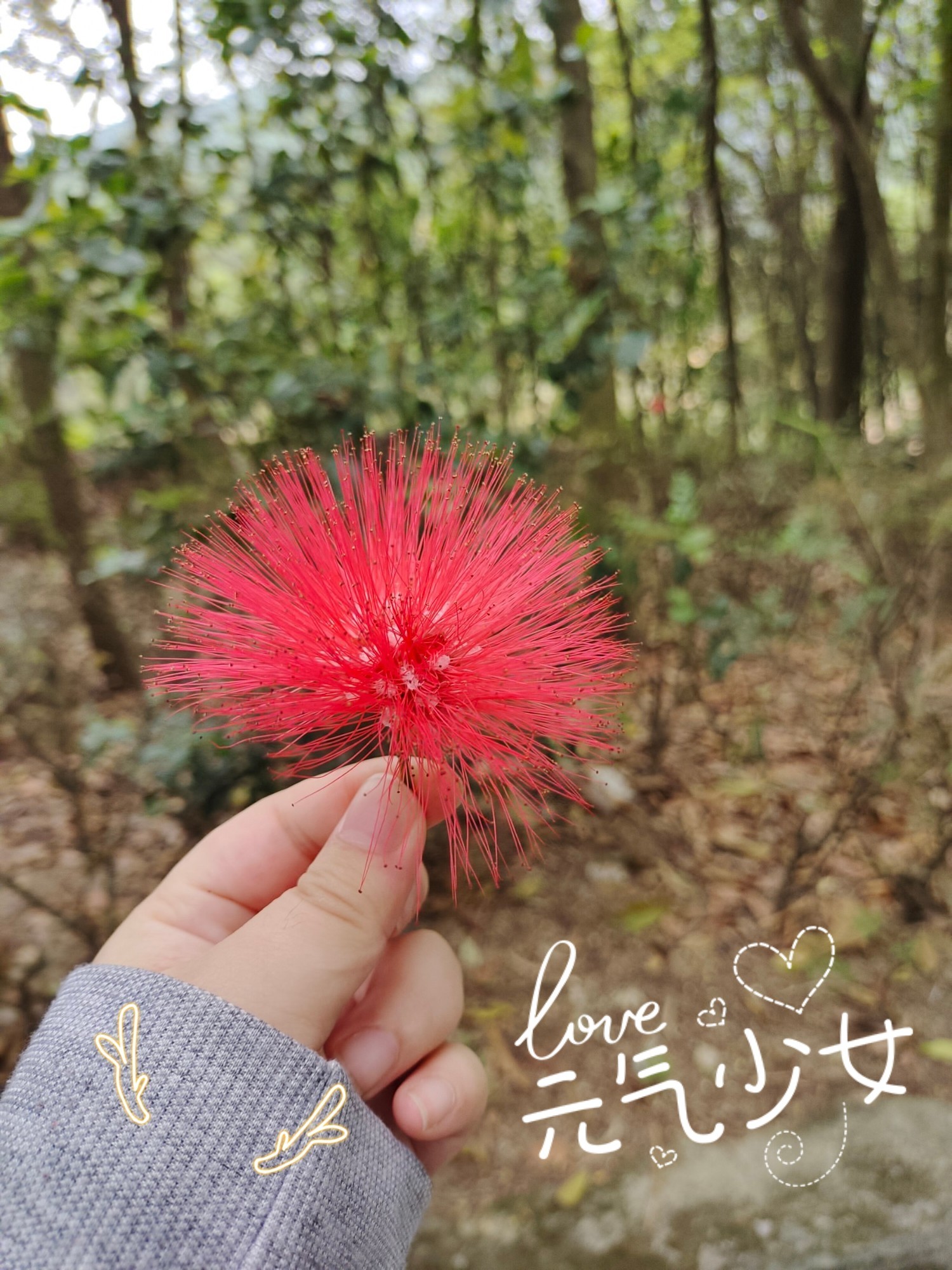 元气少女_Z188152580-站酷ZCOOL