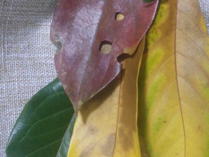 那些生命构建的生活_LAMDOOM-站酷ZCOOL