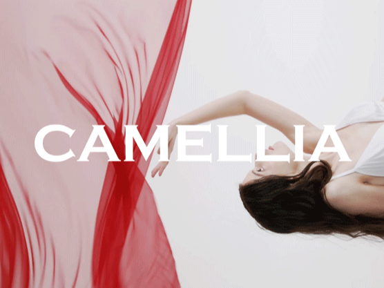 Pr剪辑|内衣短视频《Camille》_LN一白-站酷ZCOOL