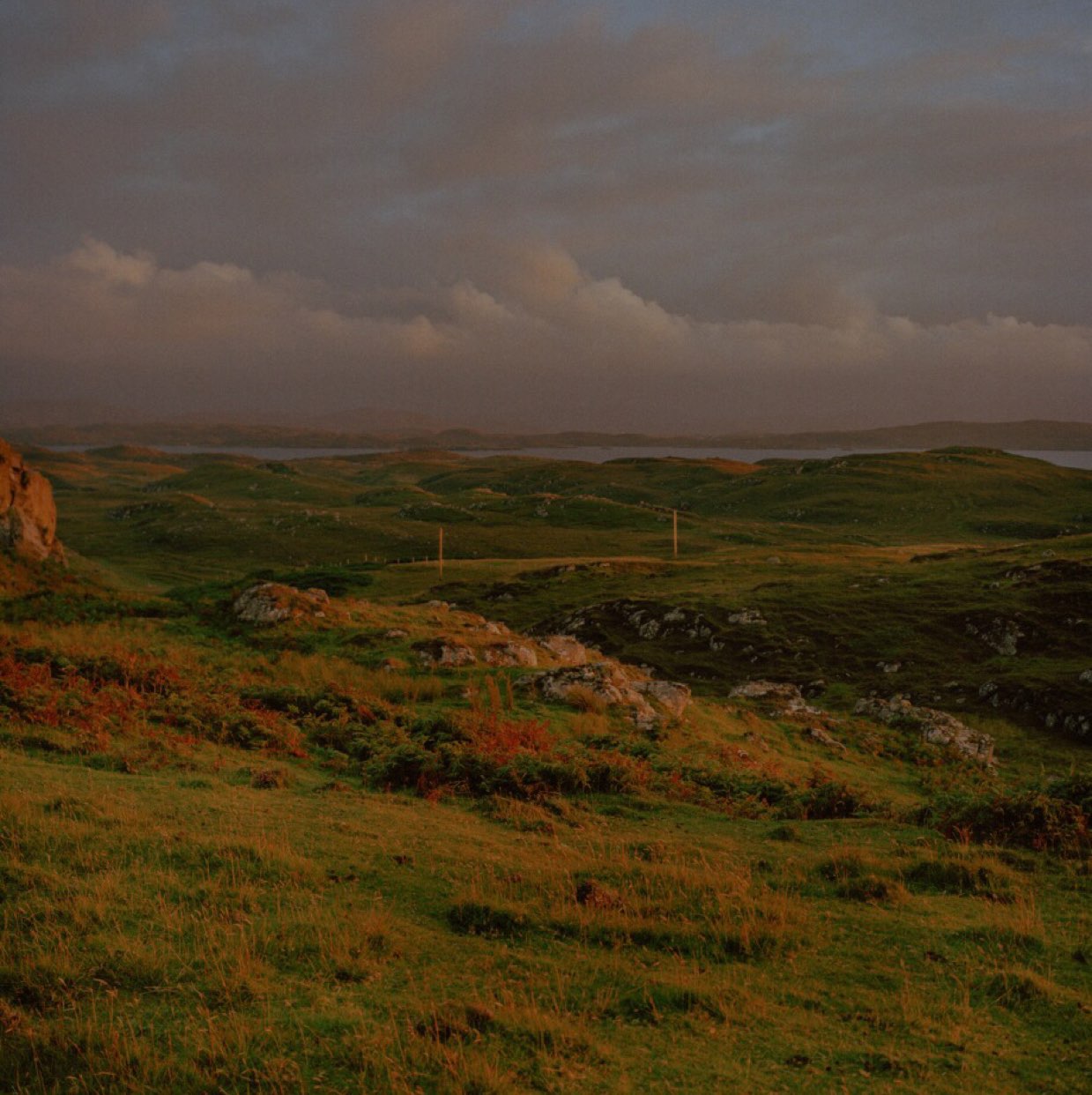 SSTTaR创作者主页_珠海学生-站酷ZCOOL