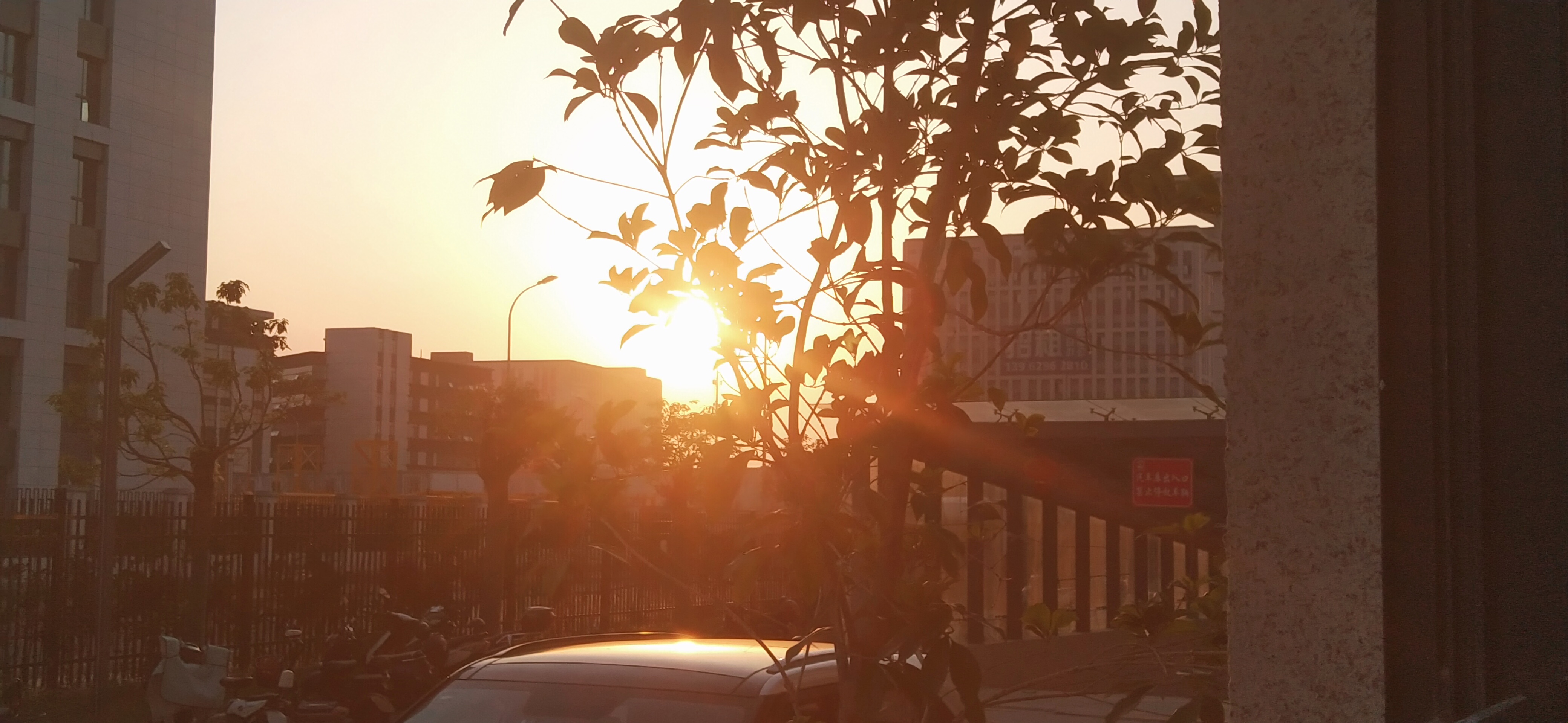 学校_XYZ泽-站酷ZCOOL