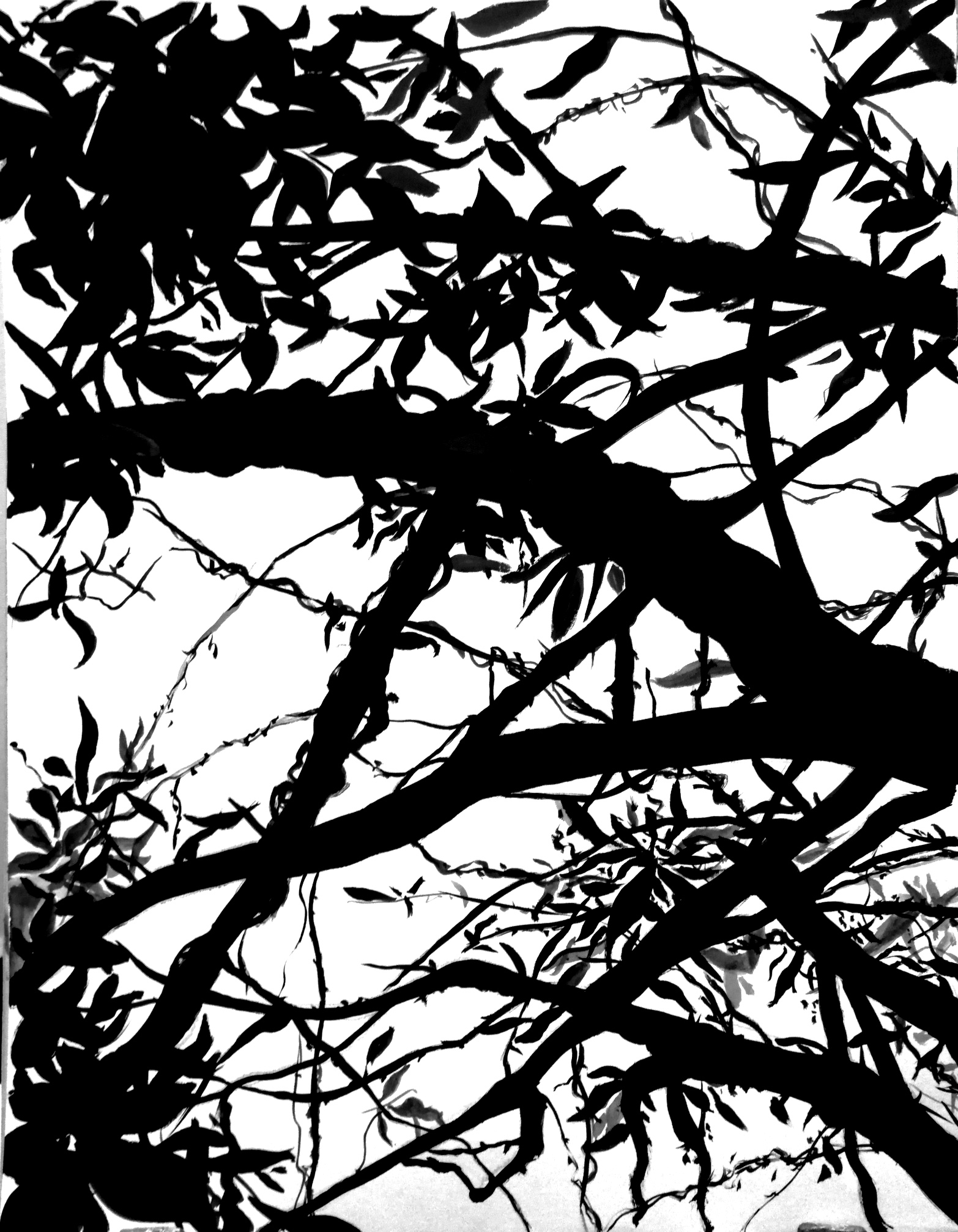 黑影_雨诺321-站酷ZCOOL