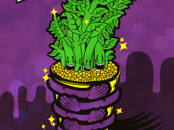 金钱树-ZAMIOCULCAS_onionoo-站酷ZCOOL