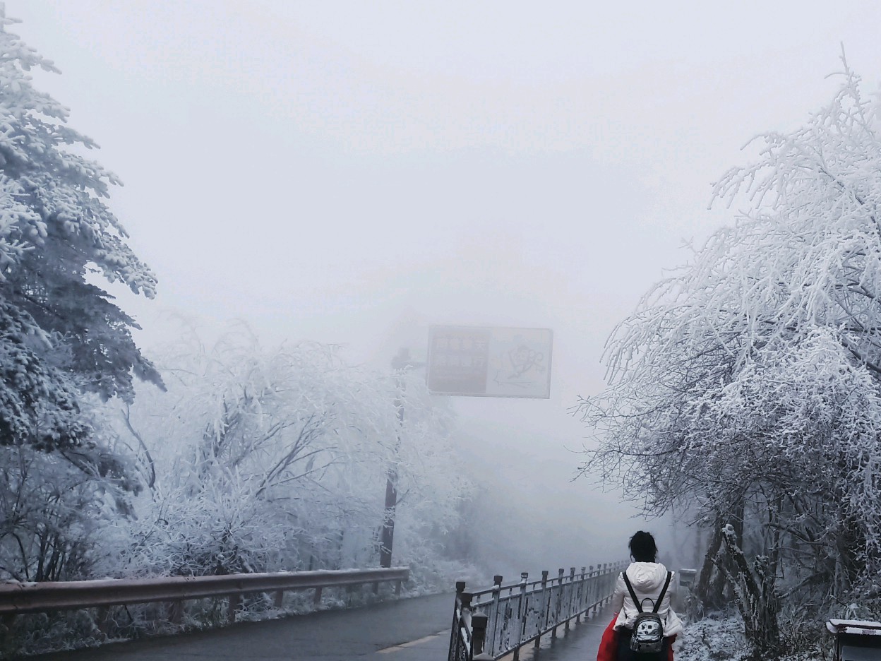 峨眉山_蓝桉xhff-站酷ZCOOL