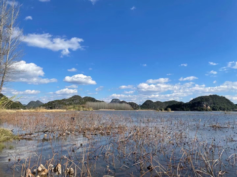 生活_小籽籽呀-站酷ZCOOL