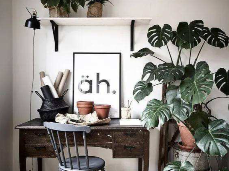 家_TT君酱-站酷ZCOOL