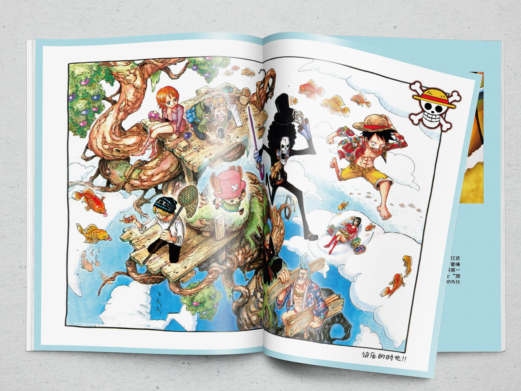 海贼王画册_DBBAN-站酷ZCOOL