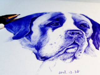 圆珠笔练习稿_盲guo-站酷ZCOOL