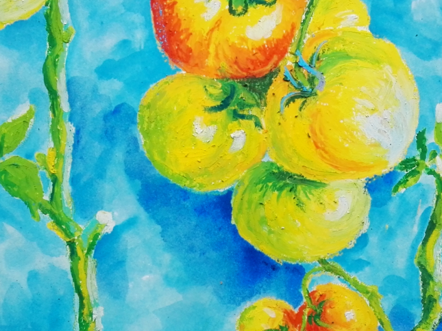 夏日西红柿_星亮绘画art-站酷ZCOOL