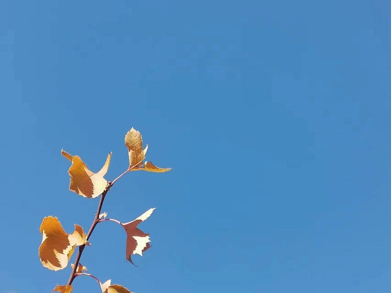 2023.10_Z531989770-站酷ZCOOL