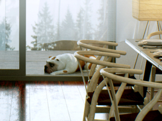 DEMO_FIGO_XF-站酷ZCOOL