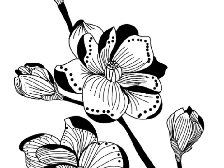 花插画_阿谋2100-站酷ZCOOL